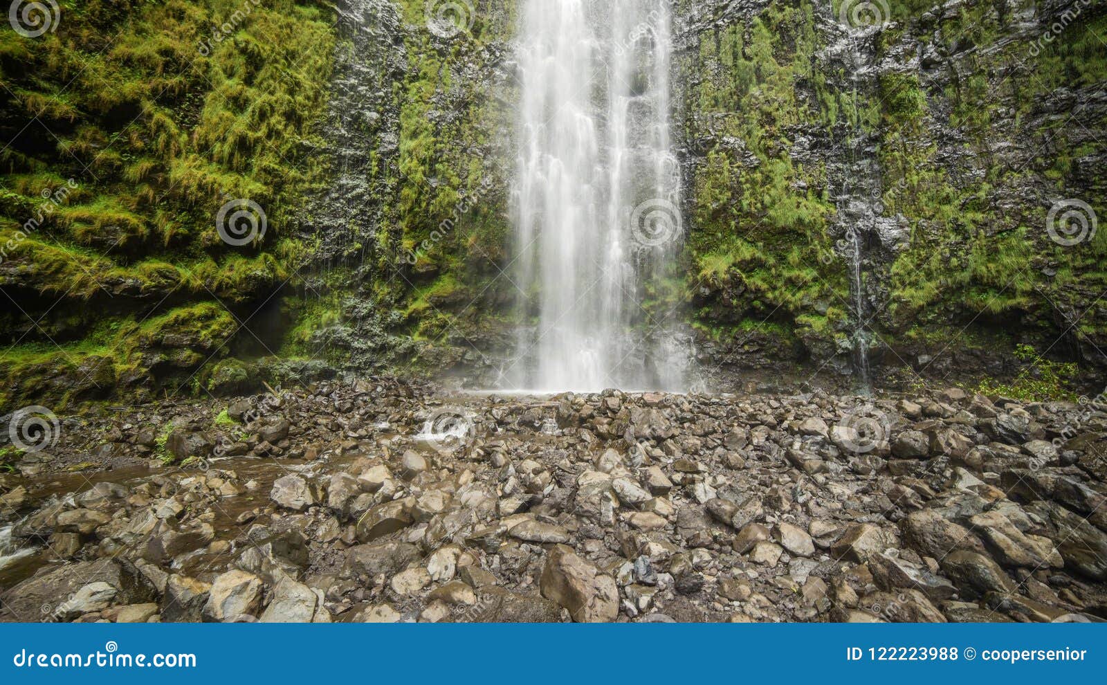 Maui jungle waterfall stock photo. Image of forest, hawaii - 122223988