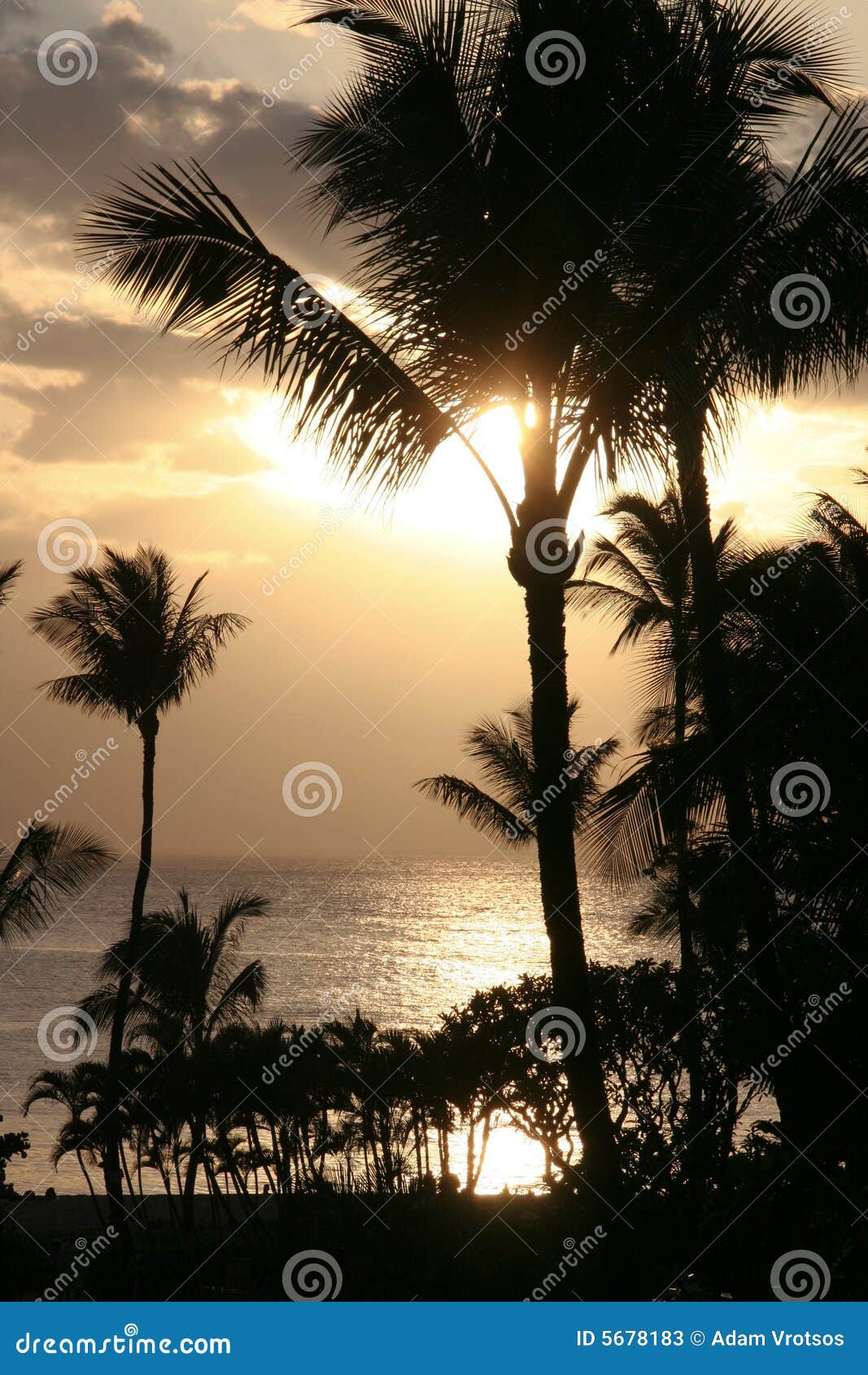 Maui Sunset stock image. Image of spring, yellow, beautiful - 5678183