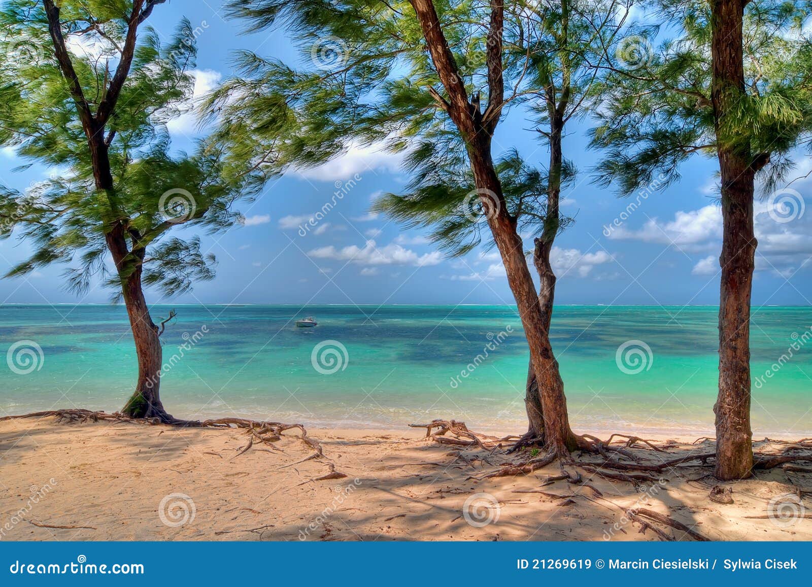Mauritius stock image. Image of tree, green, shore, water - 21269619