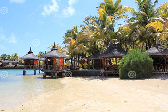Mauritius Beach Huts stock photo. Image of palm, relax - 42328998