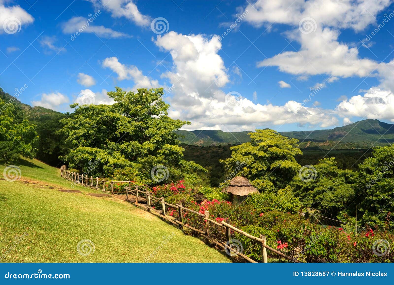 Mauritius Landscape stock image. Image of cultivation - 13828687