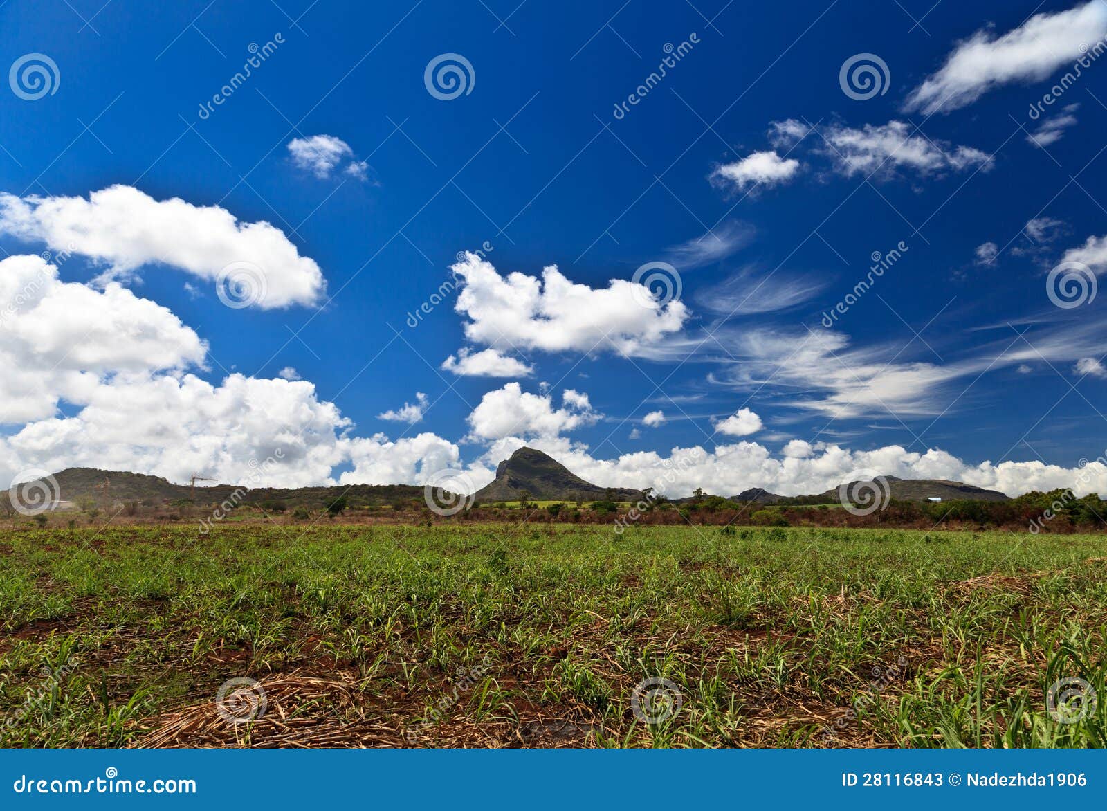 Mauritius landscape stock image. Image of green, idyllic - 28116843