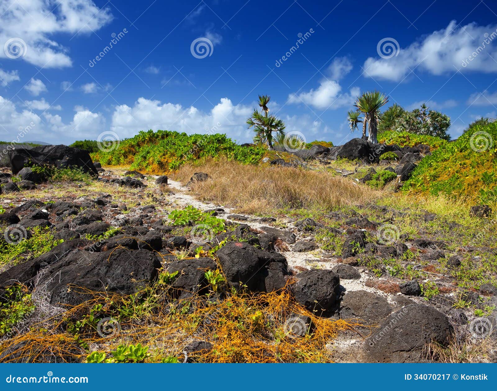 Mauritius, Landscape of the Island Against the Blue Sky Stock Image ...