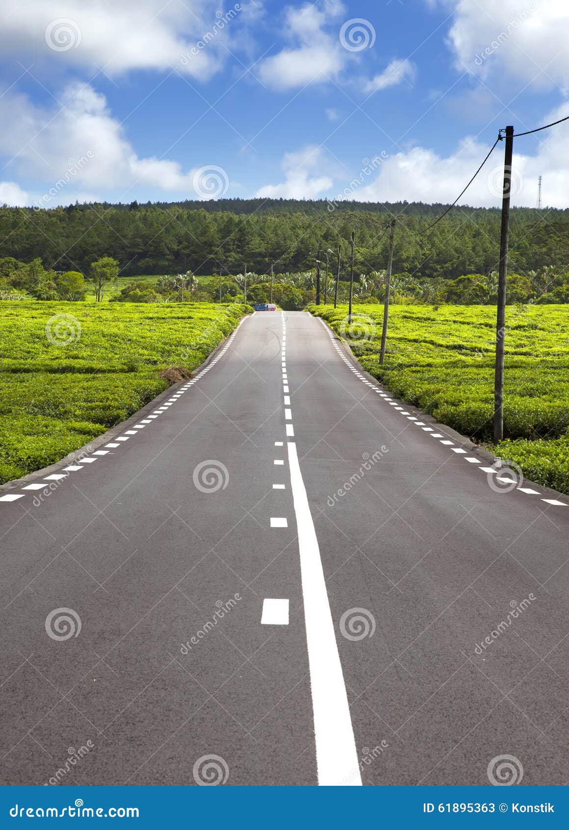 Mauritius. the Road among Green Tea Fields Stock Image - Image of hill ...