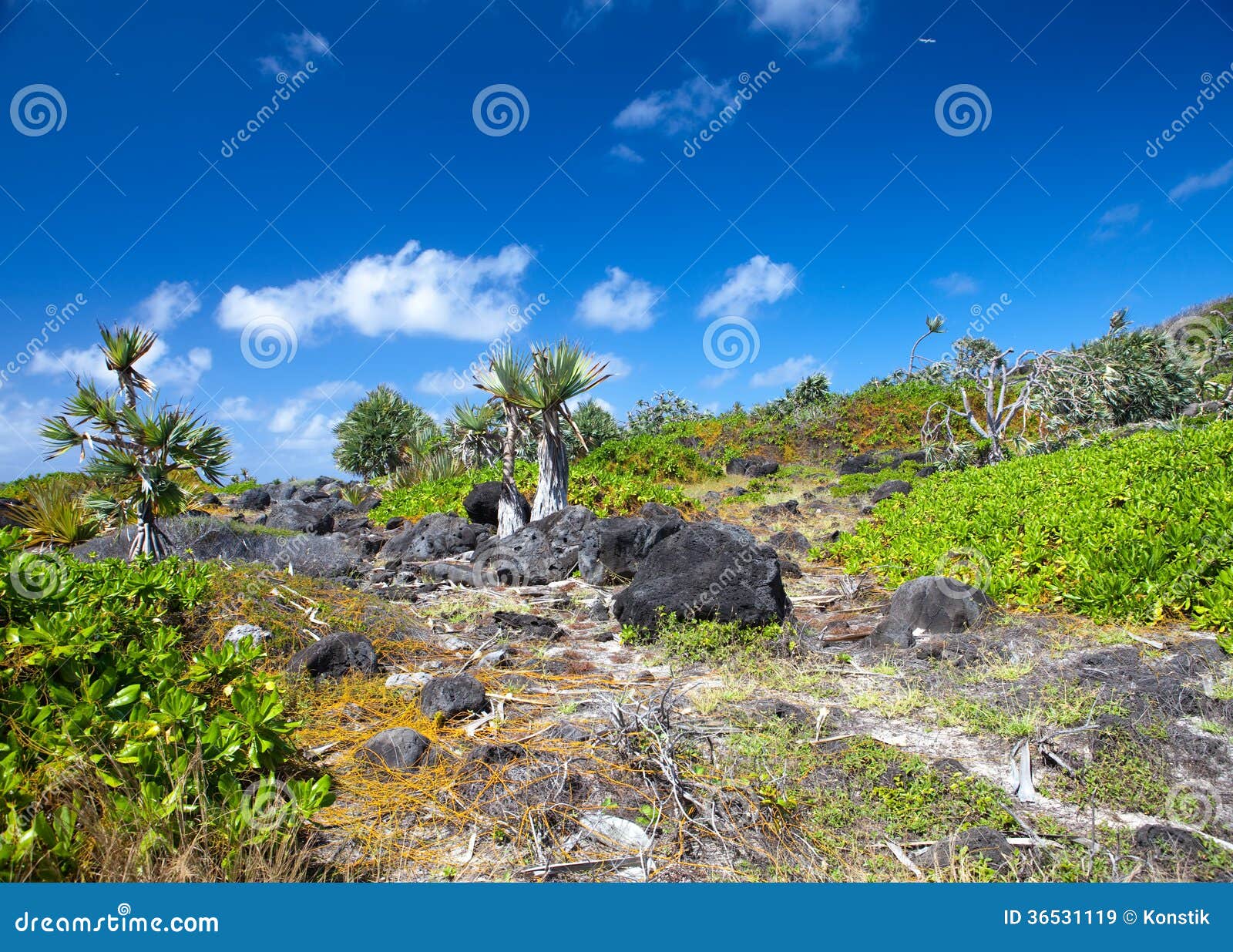 Mauritius. Stony Landscape of the Island in a Sunny Day Stock Image ...