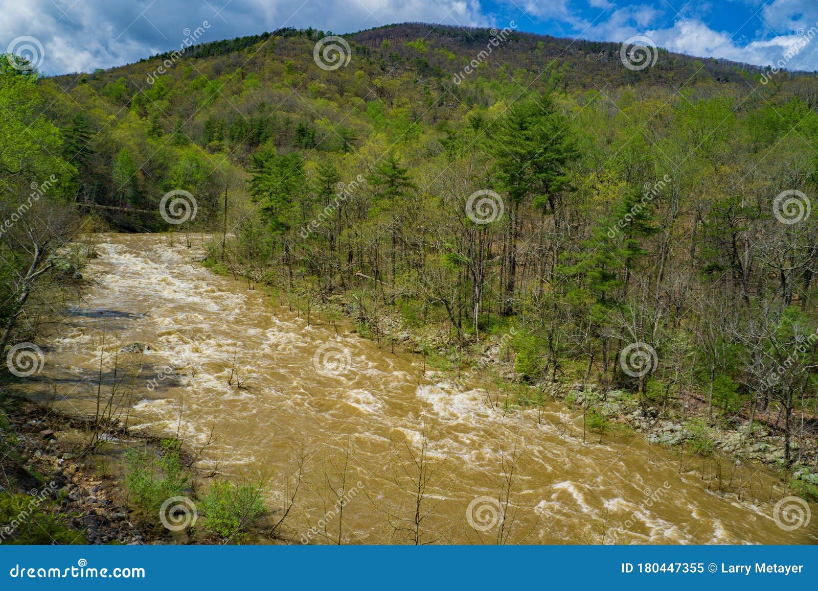 Maury River At Flood Stage Flooding Low Lying Areas Stock Image ... Maury River At Flood Stage Flooding Low Lying Areas Stock Image ...