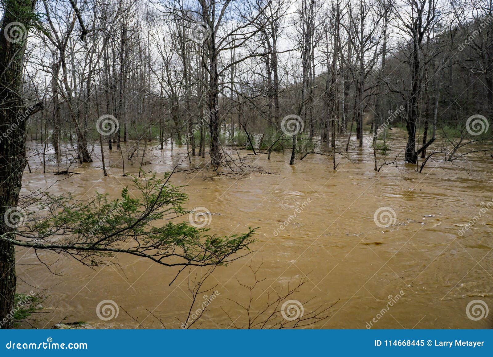 Maury River at Flooding Low Lying Areas Stock Image - Image of disaster ... Maury River at Flooding Low Lying Areas Stock Image - Image of disaster ...