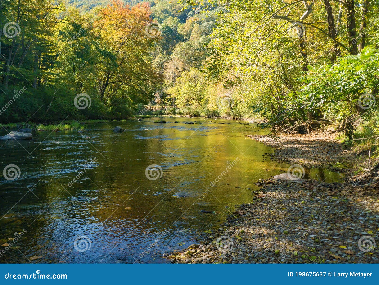 Maury River At Flood Stage Flooding Low Lying Areas Stock Image ... Maury River At Flood Stage Flooding Low Lying Areas Stock Image ...