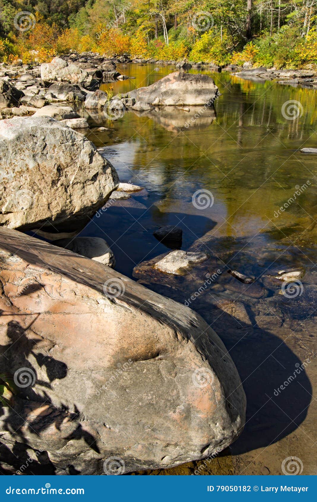 Maury River At Flood Stage Flooding Low Lying Areas Stock Image ... Maury River At Flood Stage Flooding Low Lying Areas Stock Image ...