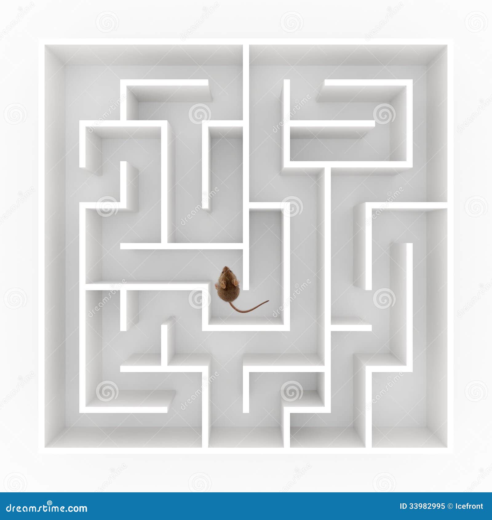 Maus im Labyrinth stockbild. Bild von labyrinth, puzzlespiel - 33982995