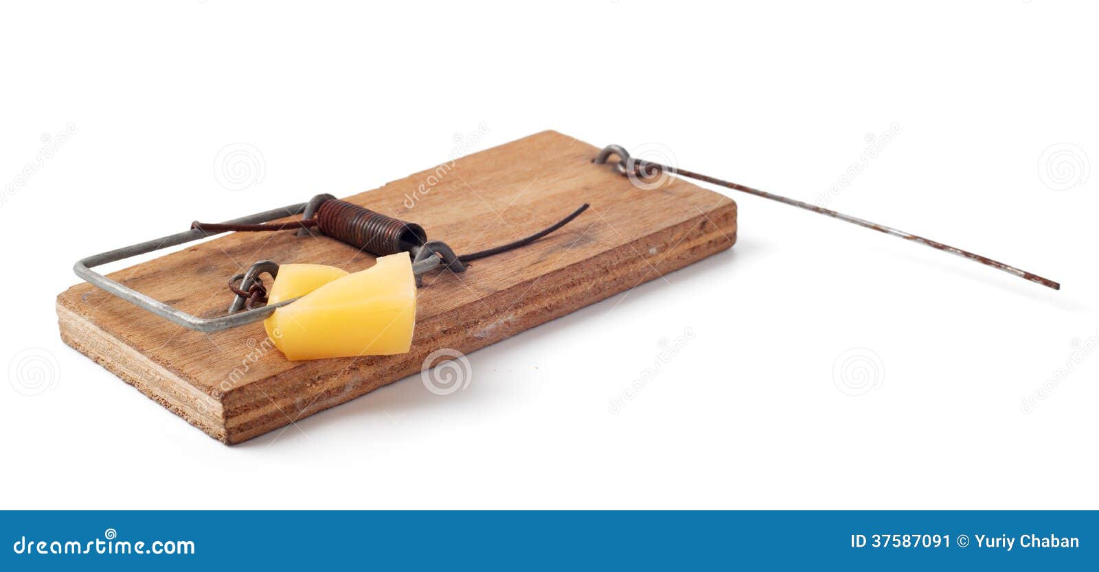 Mausefalle stockbild. Bild von plage, nahaufnahme, ausgerüstet - 37587091