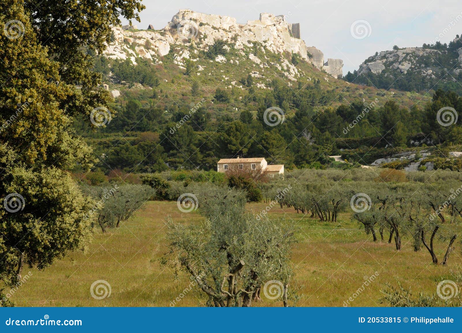 Maussane-les-Alpilles in Provence Stock Image - Image of france ...