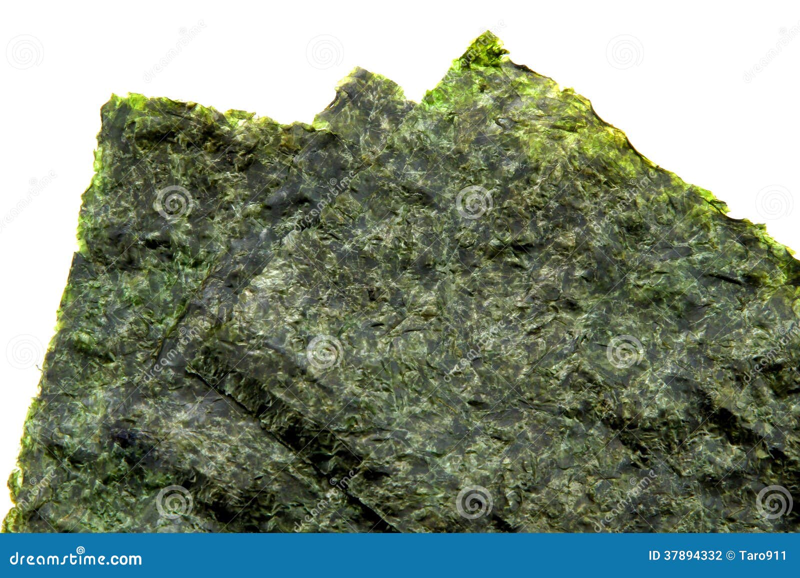 Mauvaise Herbe Sèche De Mer Photo stock - Image du croquant, centrale ...