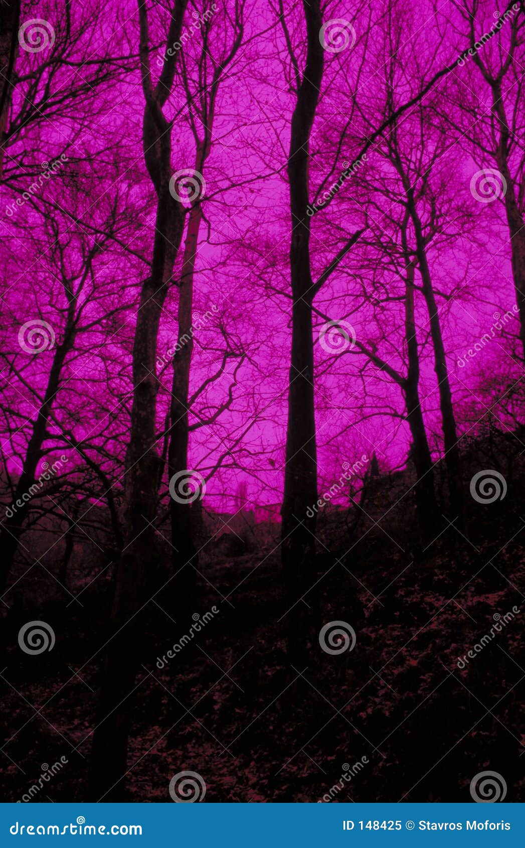 Mauve trees stock image. Image of forest, greece, treece - 148425