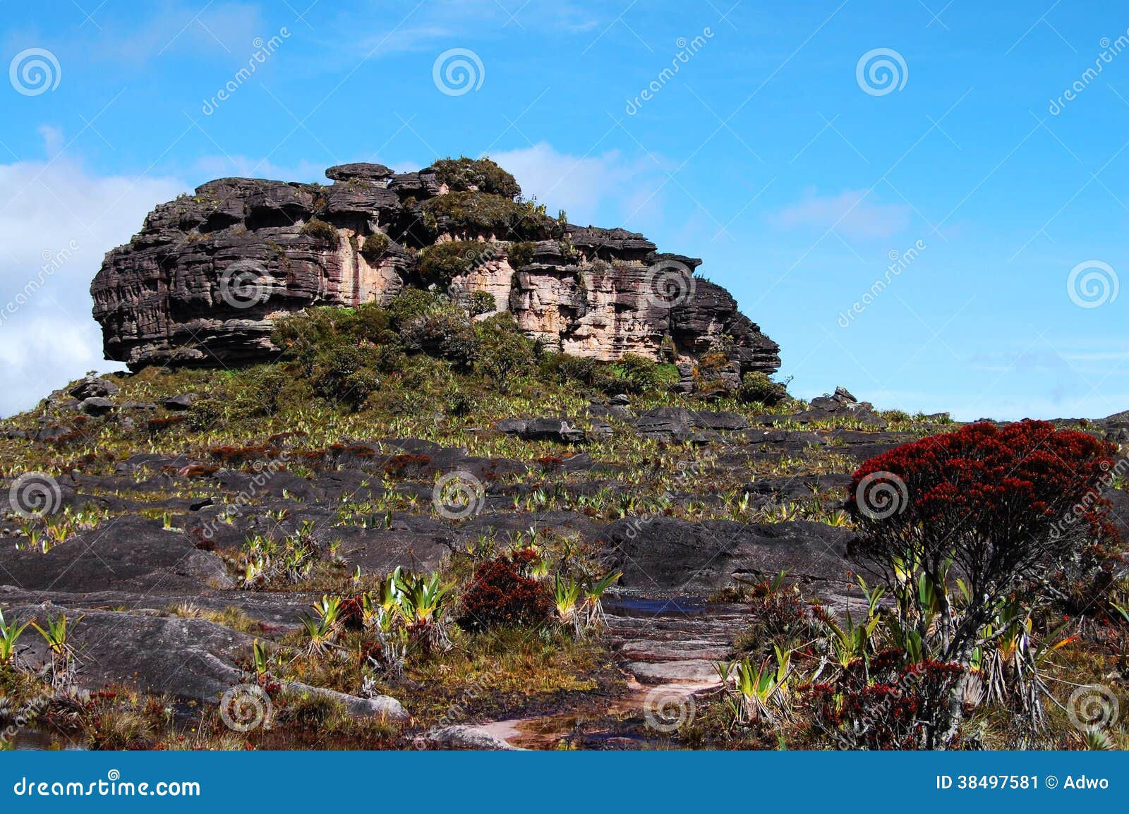 Maverick Rock - Venezuela stock image. Image of nice - 38497581