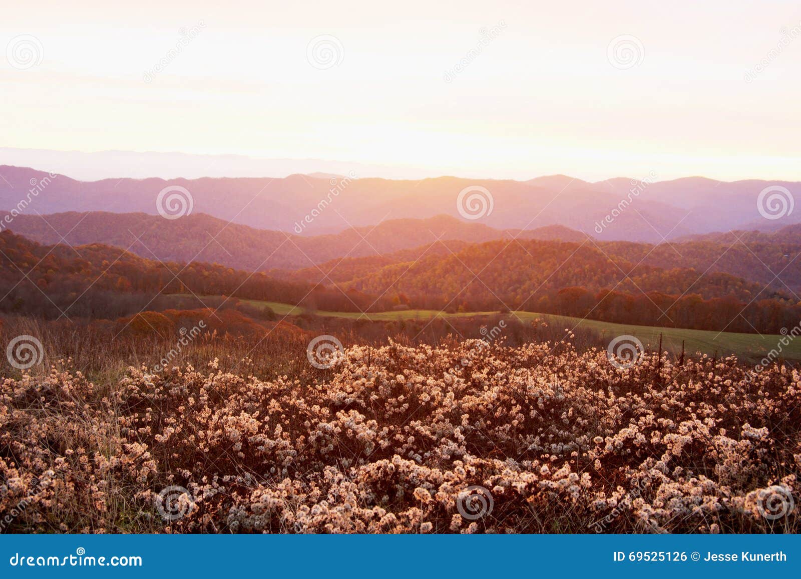 Max Patch at Sunrise stock photo. Image of patch, north - 69525126