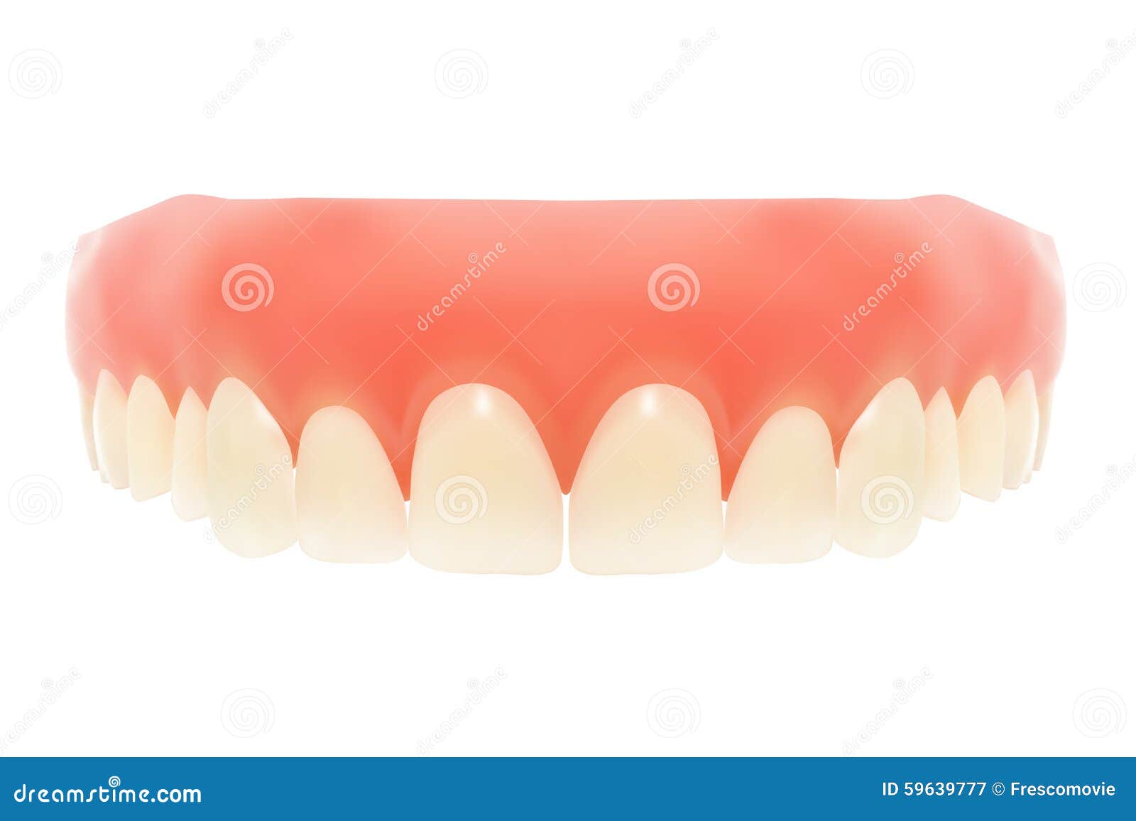 Maxila humana ilustração do vetor. Ilustração de cuidado - 59639777