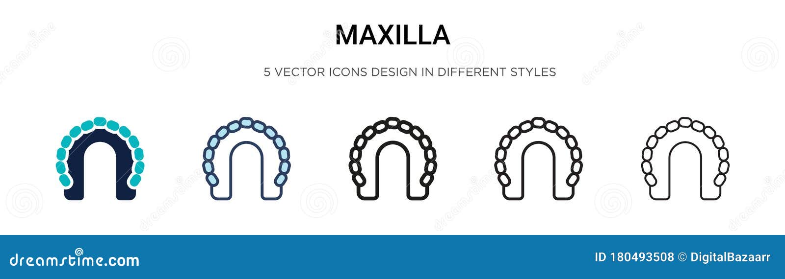Maxilla Icon in Filled, Thin Line, Outline and Stroke Style. Vector ...