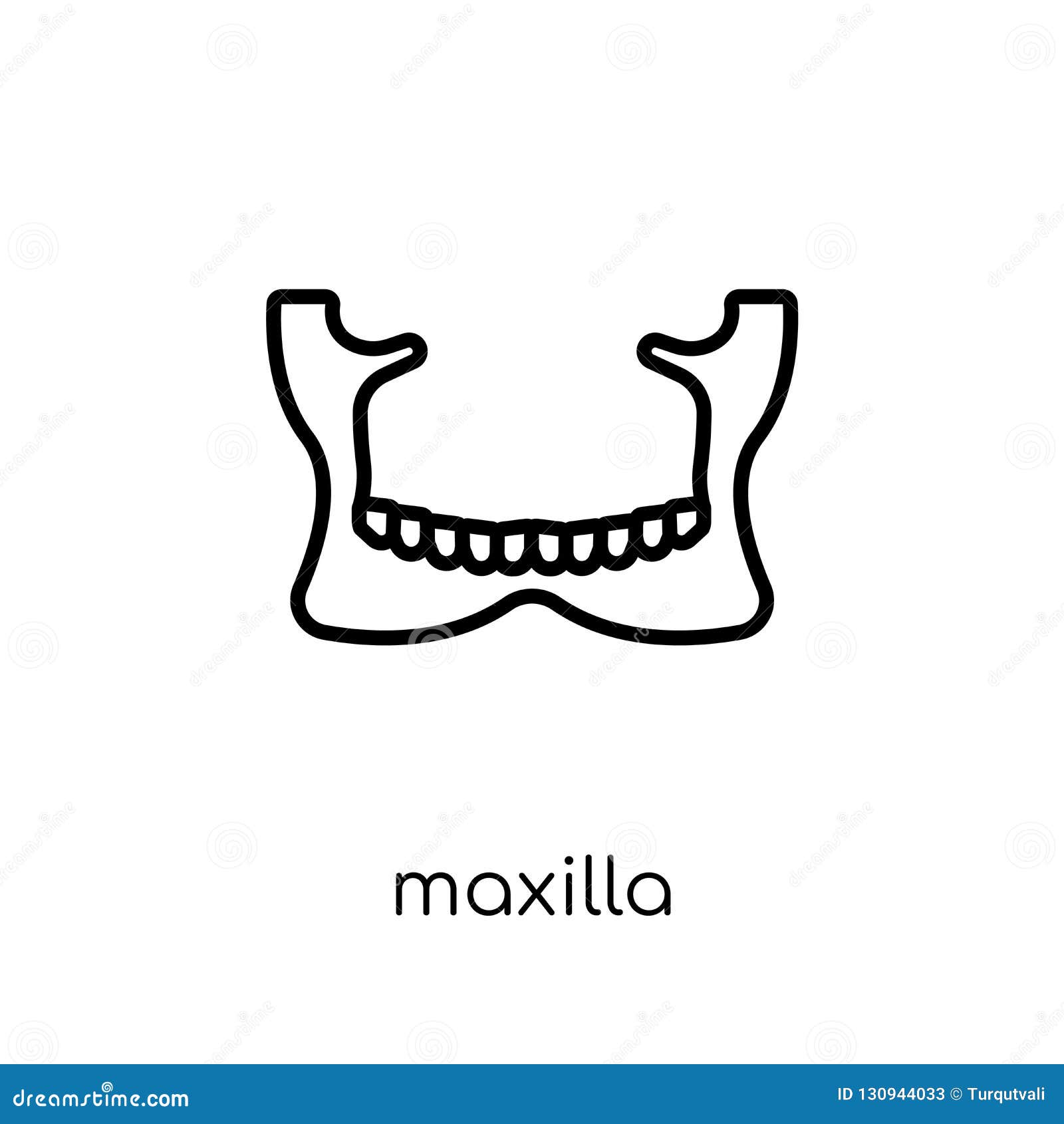 Linear Maxilla Icon From Dentist Outline Collection. Thin Line Maxilla ...