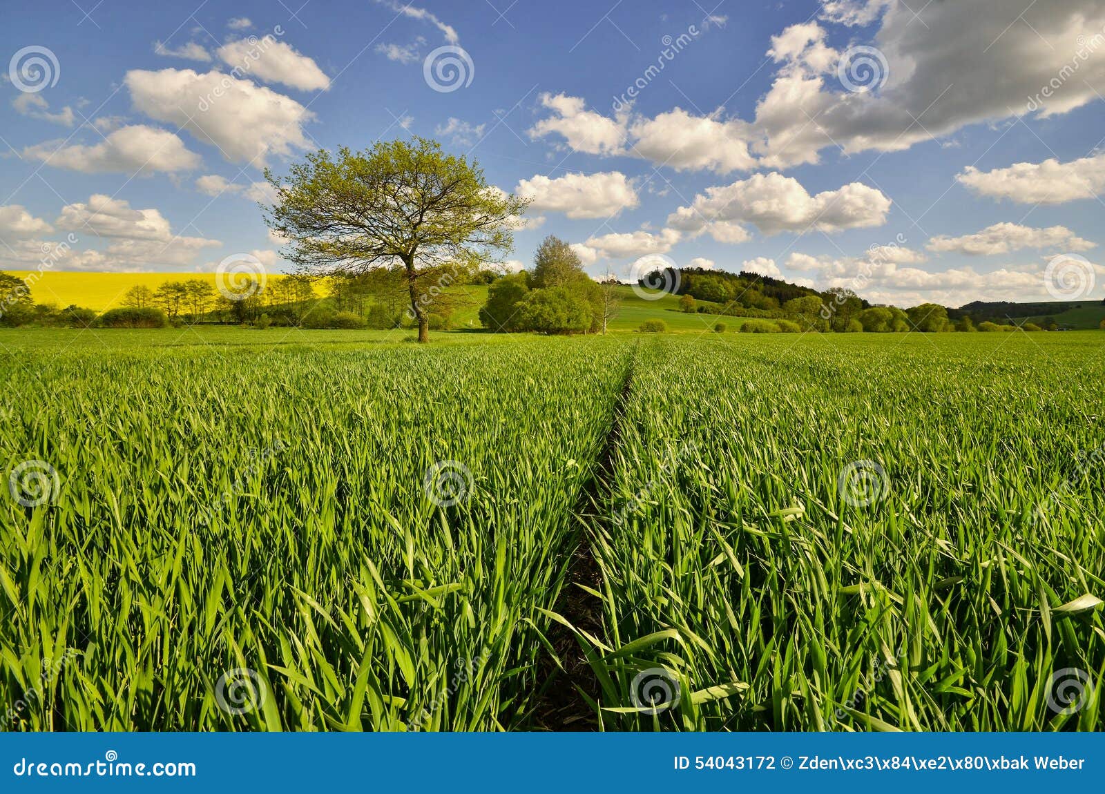May Day fields stock photo. Image of graphic, outdoor - 54043172