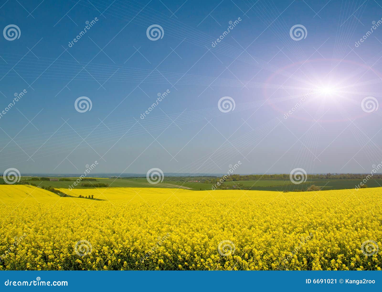 May fields stock image. Image of fields, horizontal, blue - 6691021