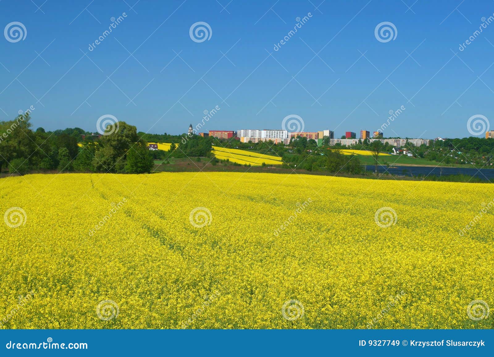 May scene stock image. Image of vista, yellow, springtime - 9327749