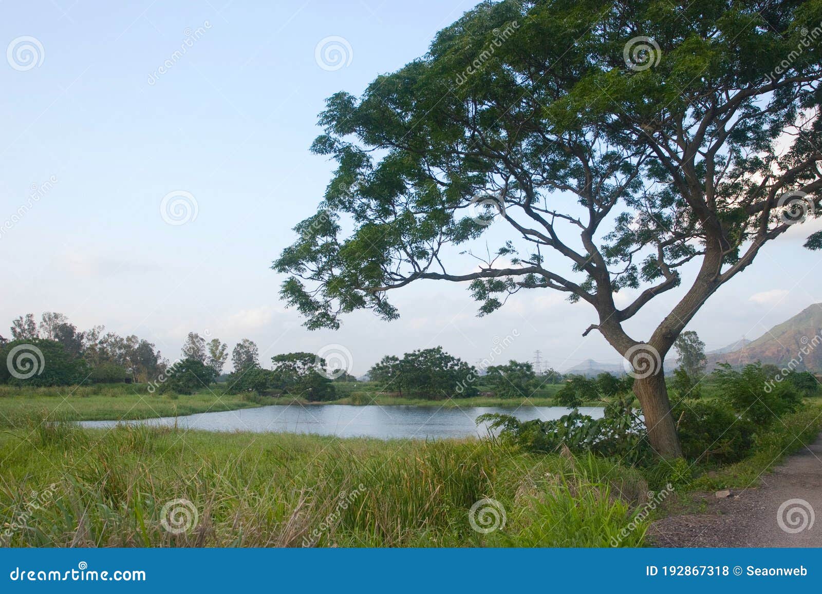 24 May 2007 Traditional Fish Pond Scenery with Dirt Grass Path Also As ...