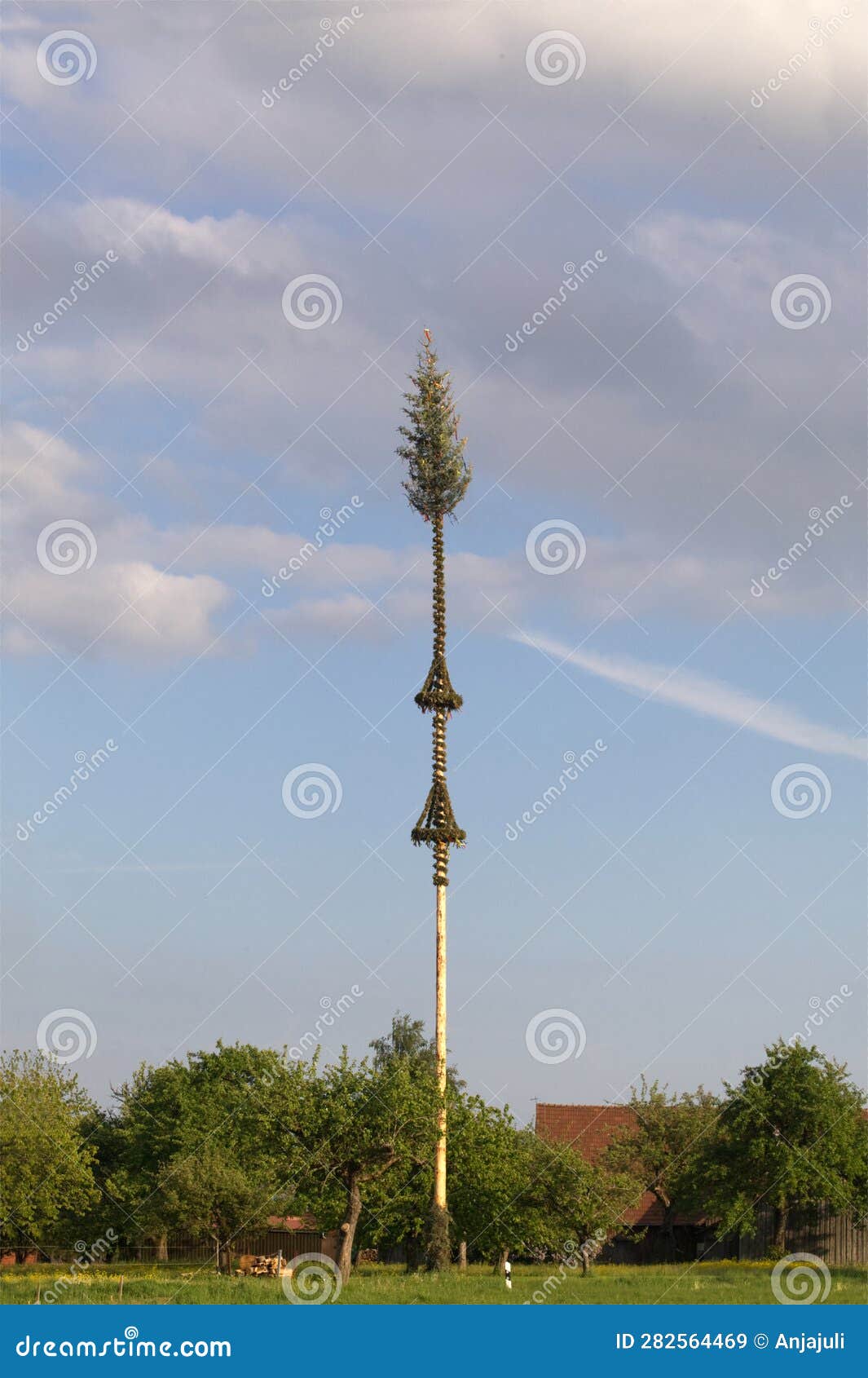 May Tree 1 May Tradition in Germany Stock Image - Image of culture ...