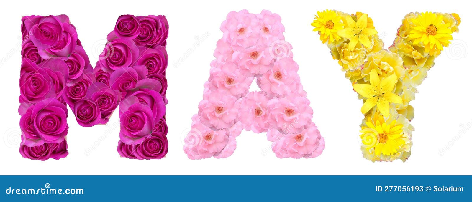 May month stock image. Image of element, style, lily - 277056193