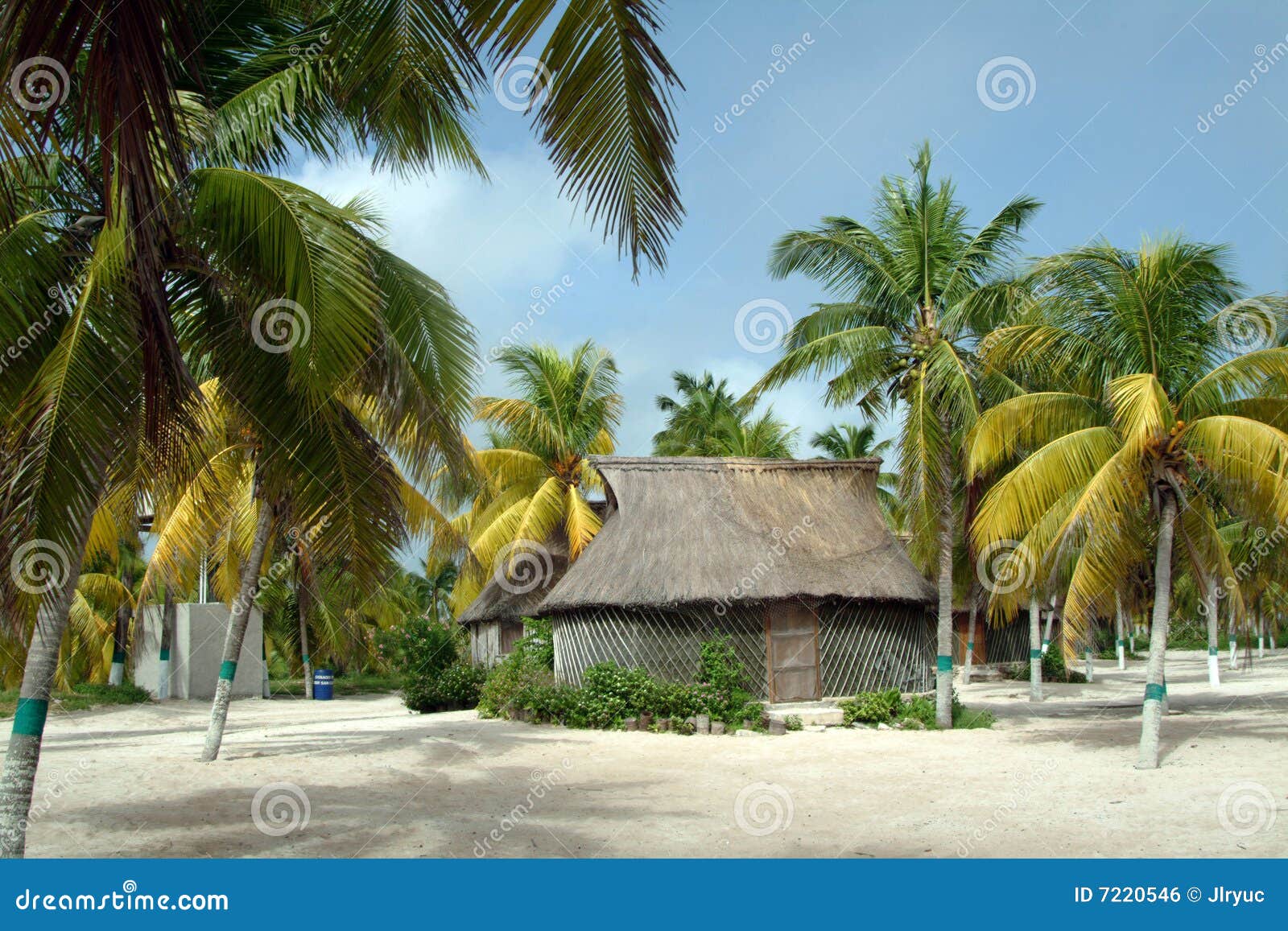 Maya house and palm trees stock photo. Image of tree, american - 7220546
