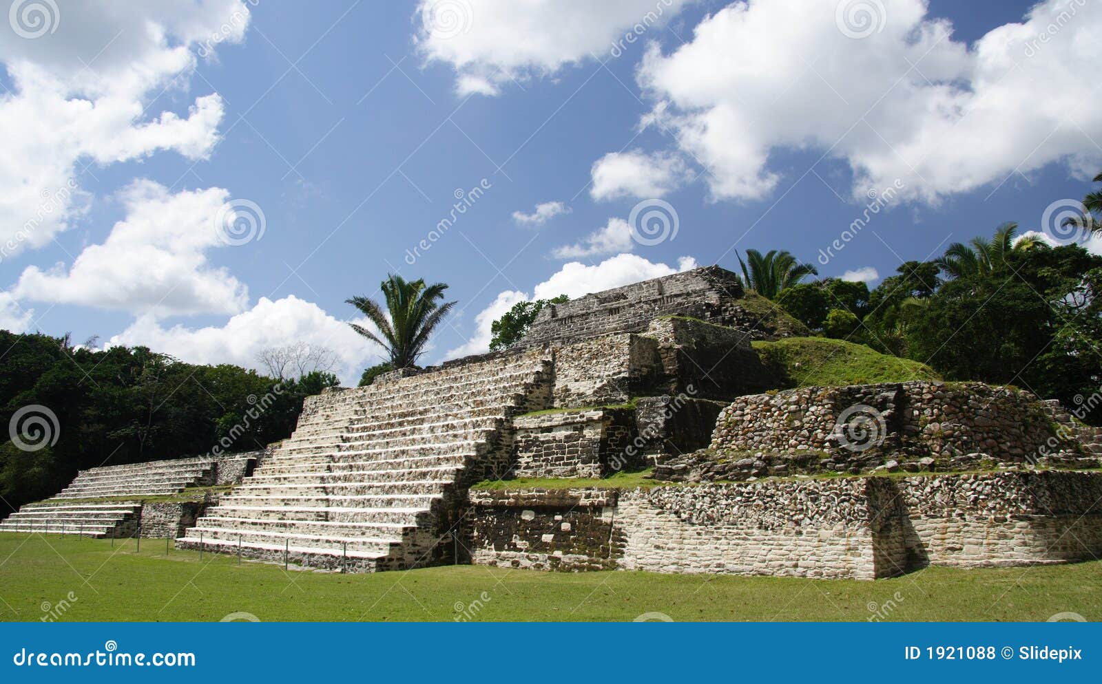 Maya Pyramid Stock Photo | CartoonDealer.com #1921422