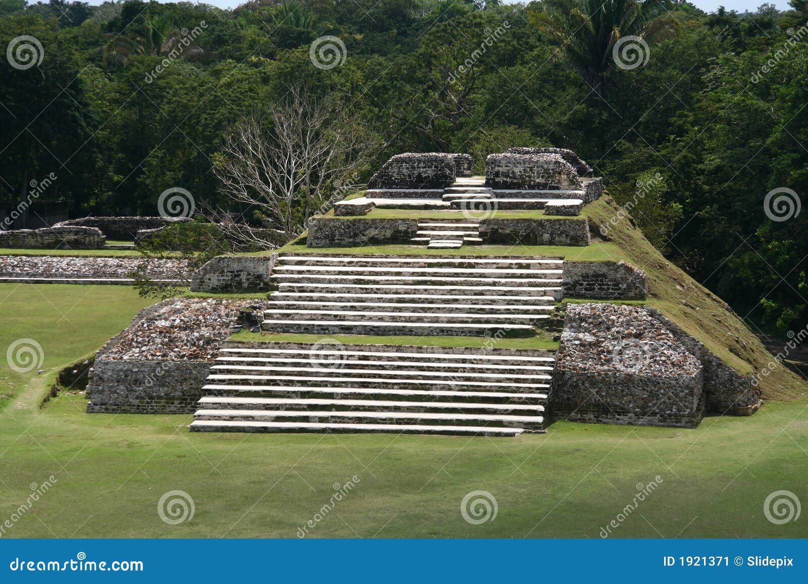 Maya Pyramid Picture. Image: 1921371