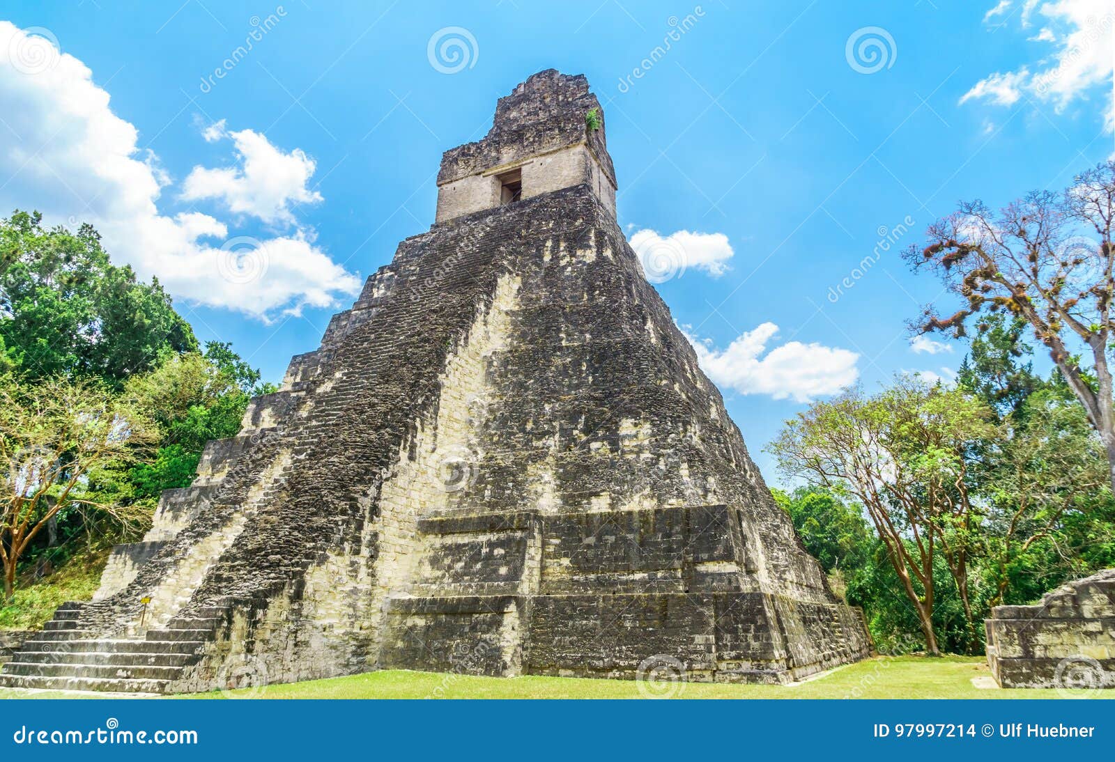 Maya Pyramid In The Rainforest By Tikal Royalty-Free Stock Photo ...
