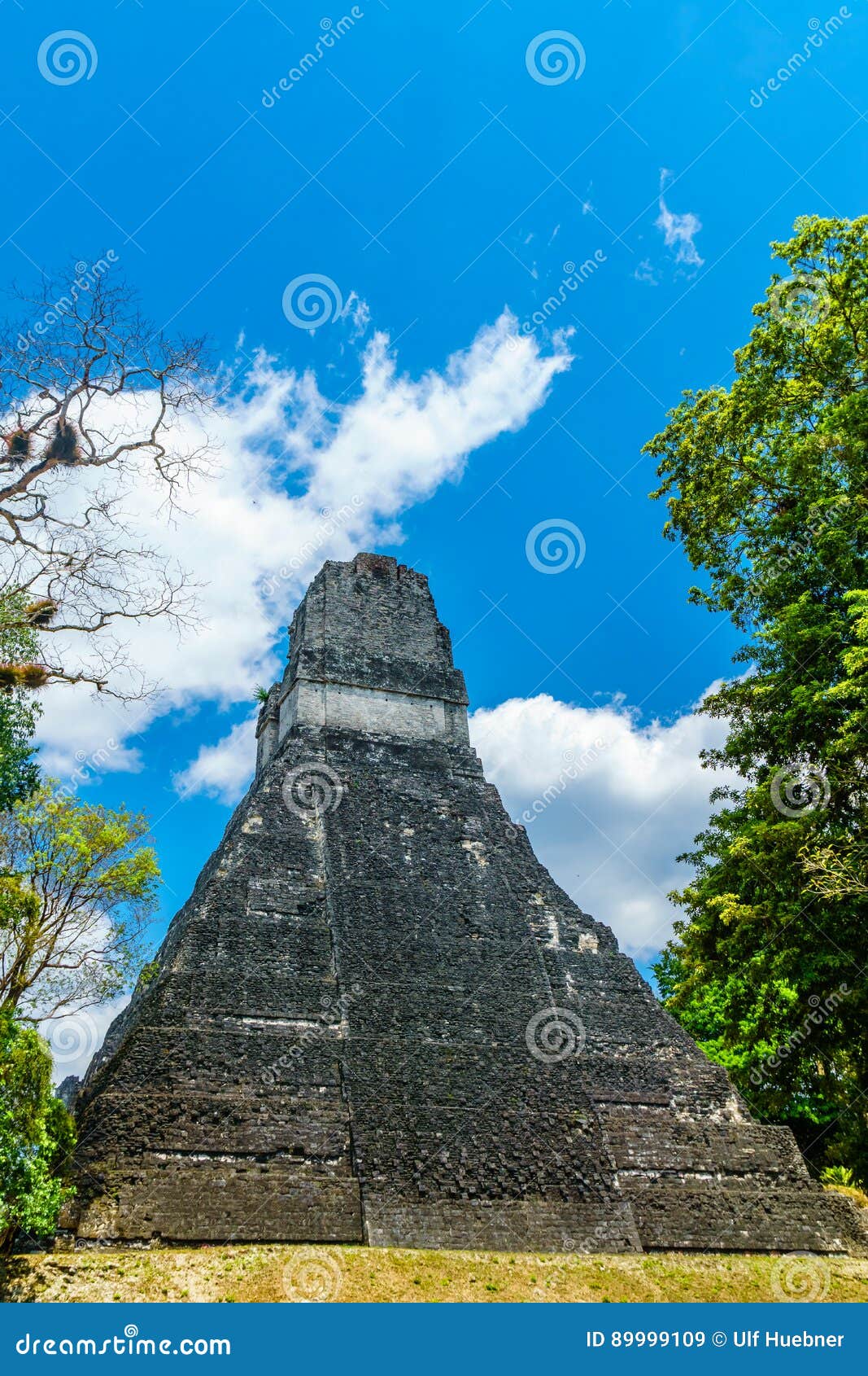 Maya Pyramid Stock Photo | CartoonDealer.com #1921422