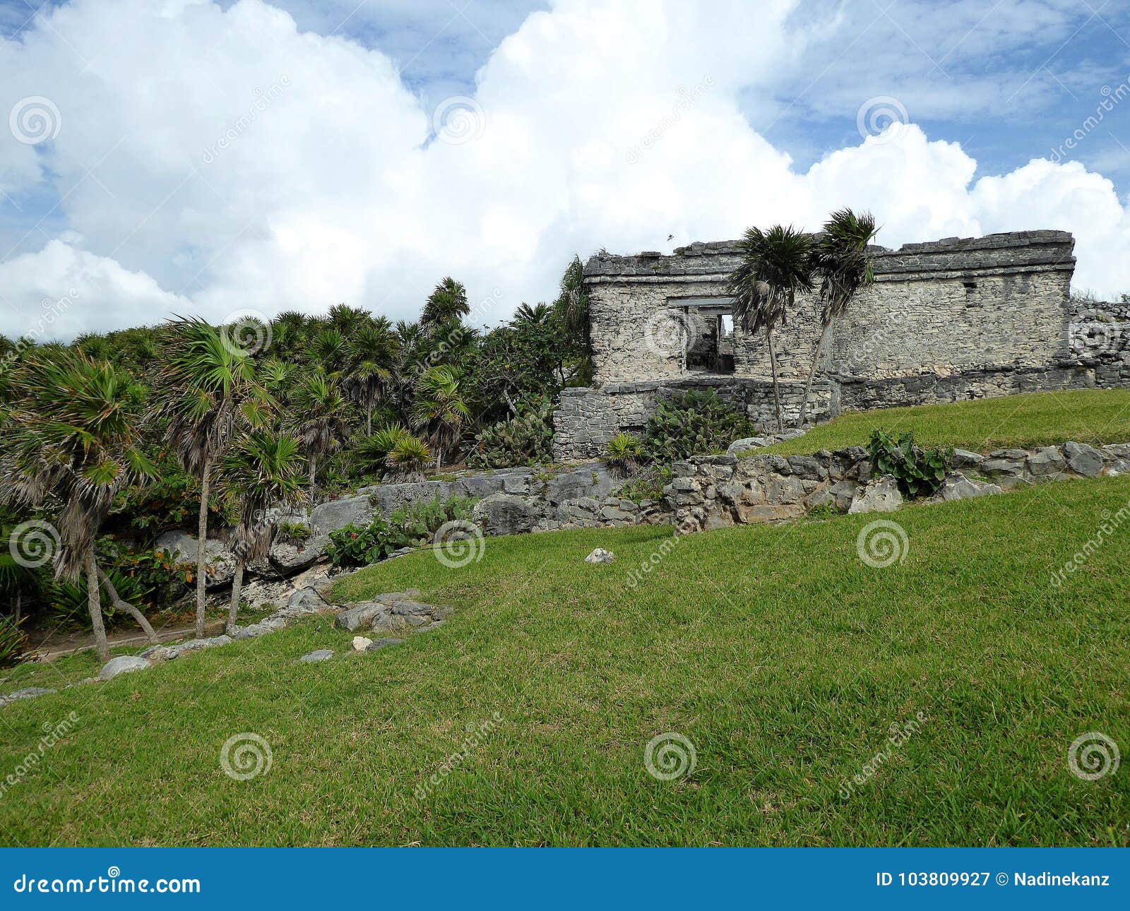 Maya Pyramid Temple Ruins Tulum in Yucatan, Mexico Stock Image - Image ...