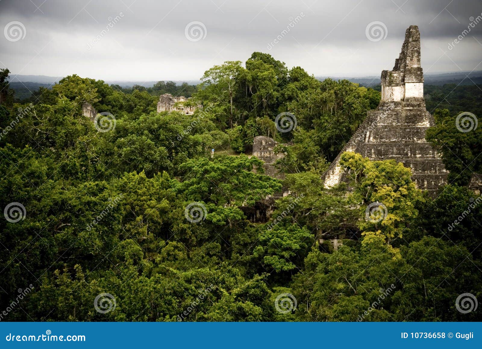 Maya pyramid in Tikal stock photo. Image of history, star - 10736658