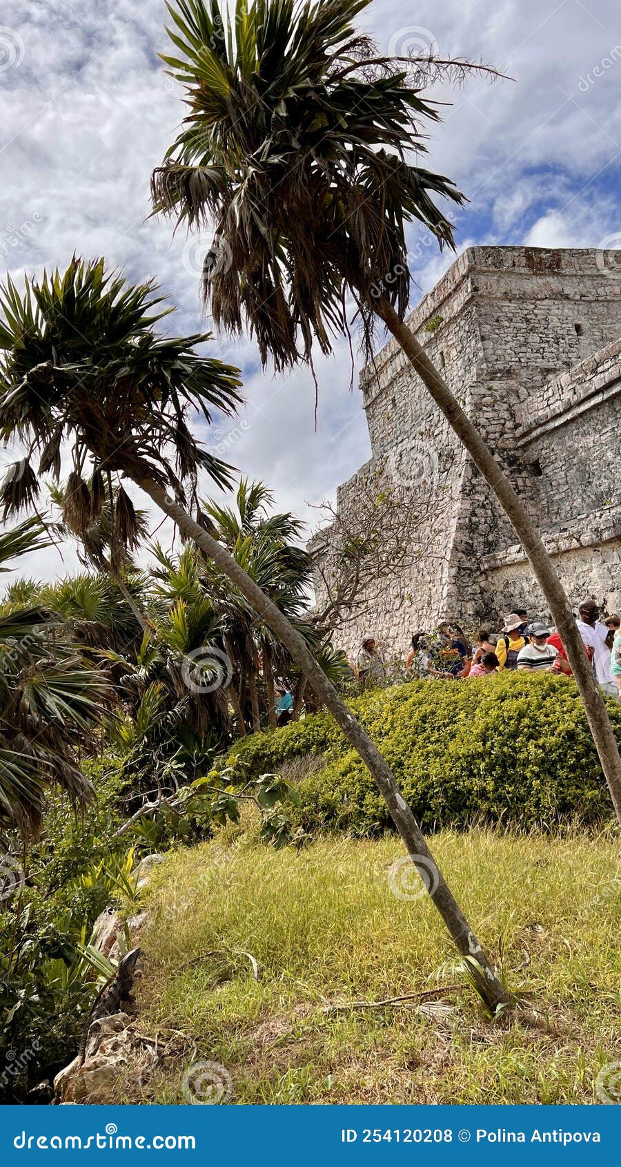 Maya Ruins in Tulum Mexico stock photo. Image of jungle - 254120208