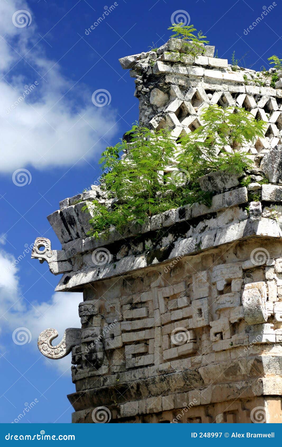 Maya Ruins stock image. Image of maya, achaeology, carve - 248997