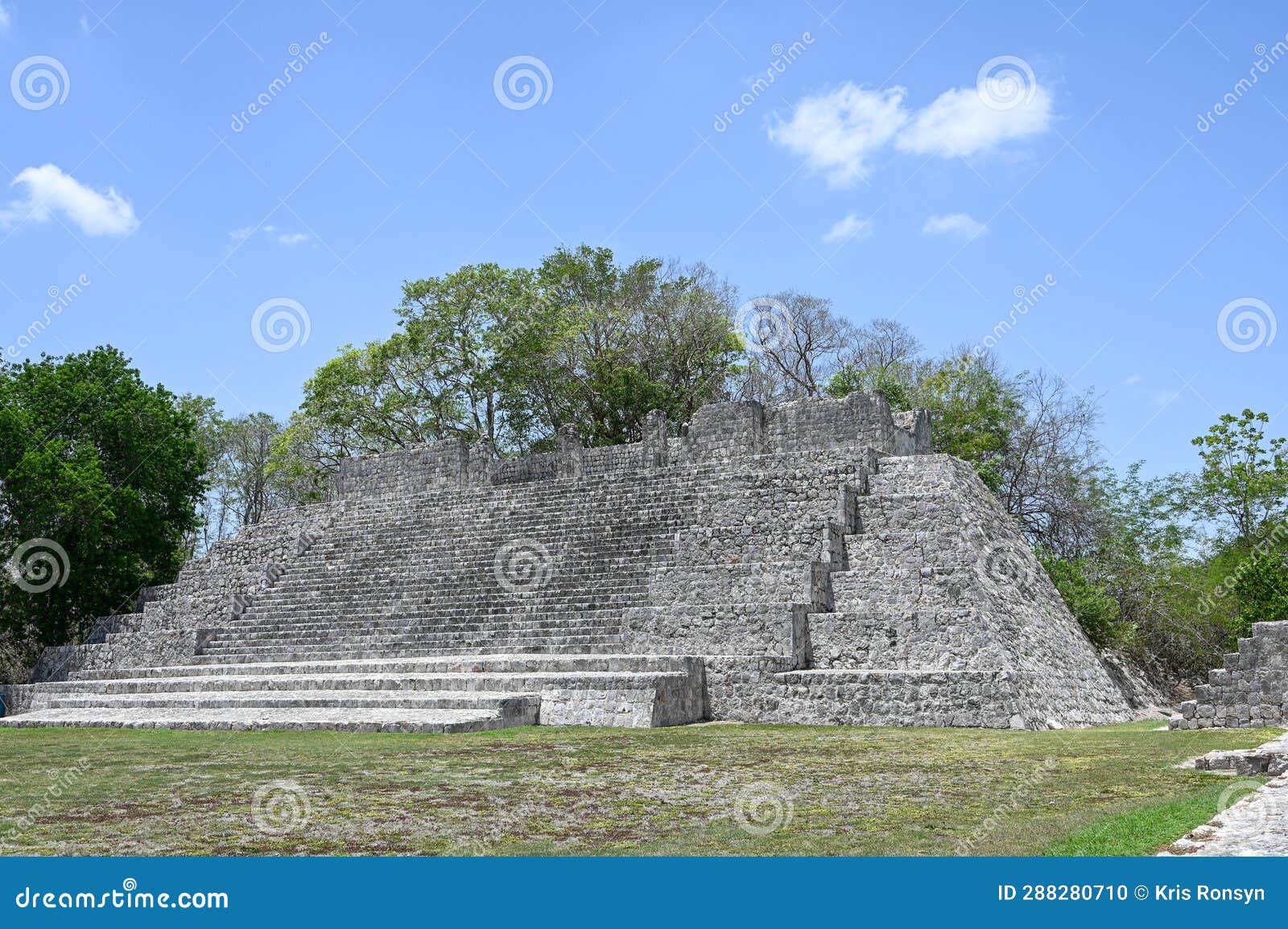 Maya Ruins Covered by Tropical Forest Stock Photo - Image of tropical ...