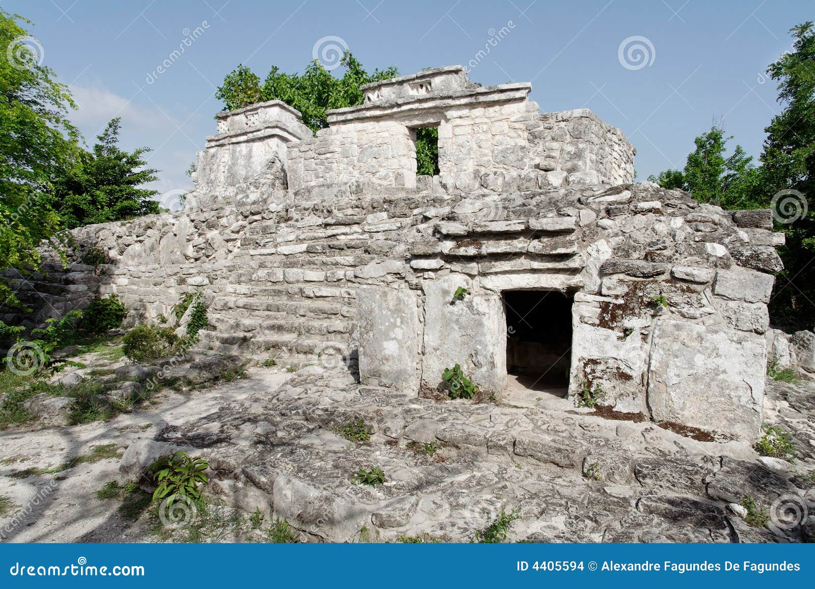Maya Temple Ruins With Palace And Observation Tower Surrounded By Ivy ...