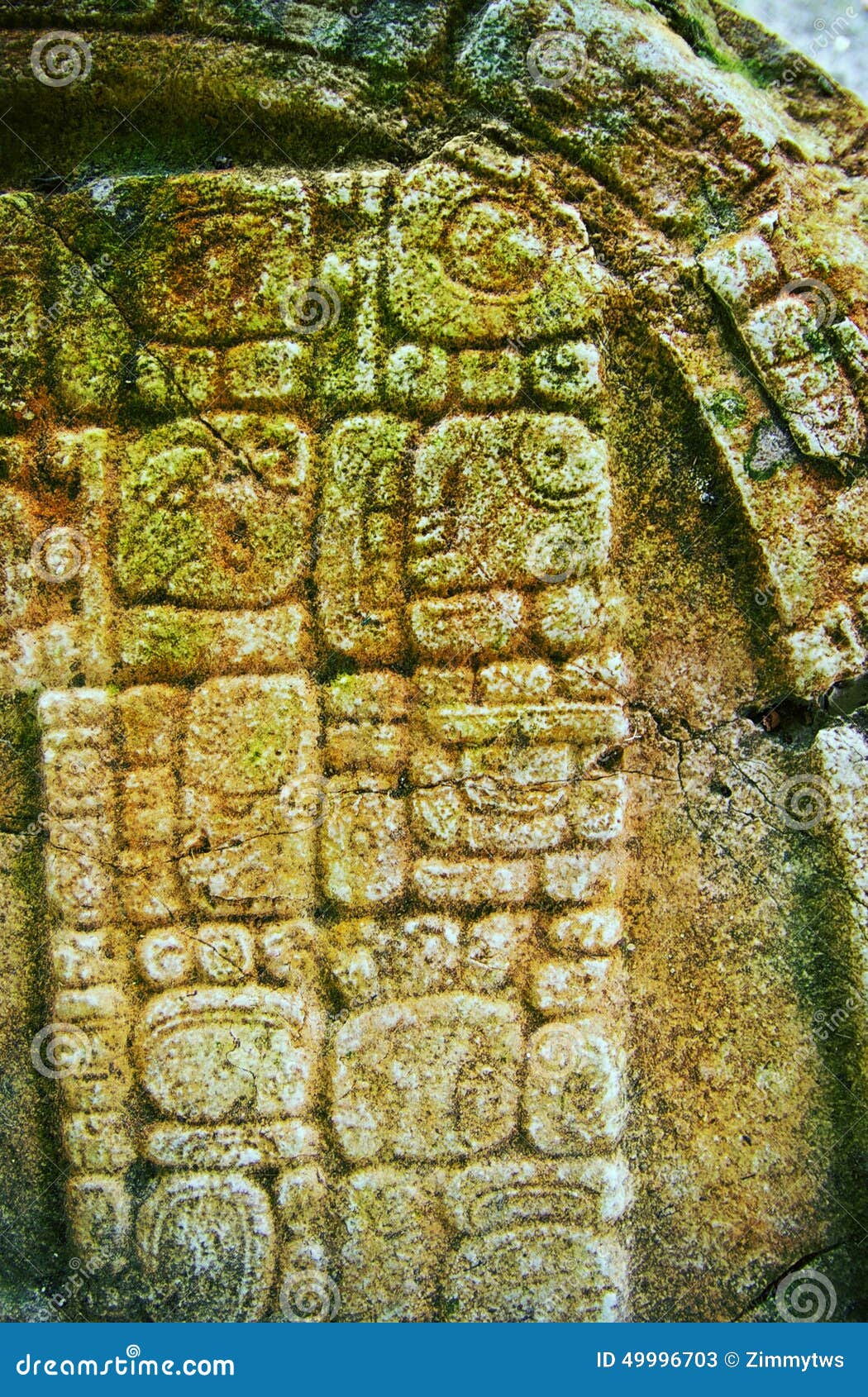 Mayan glyphs stock image. Image of maya, civilzation - 49996703