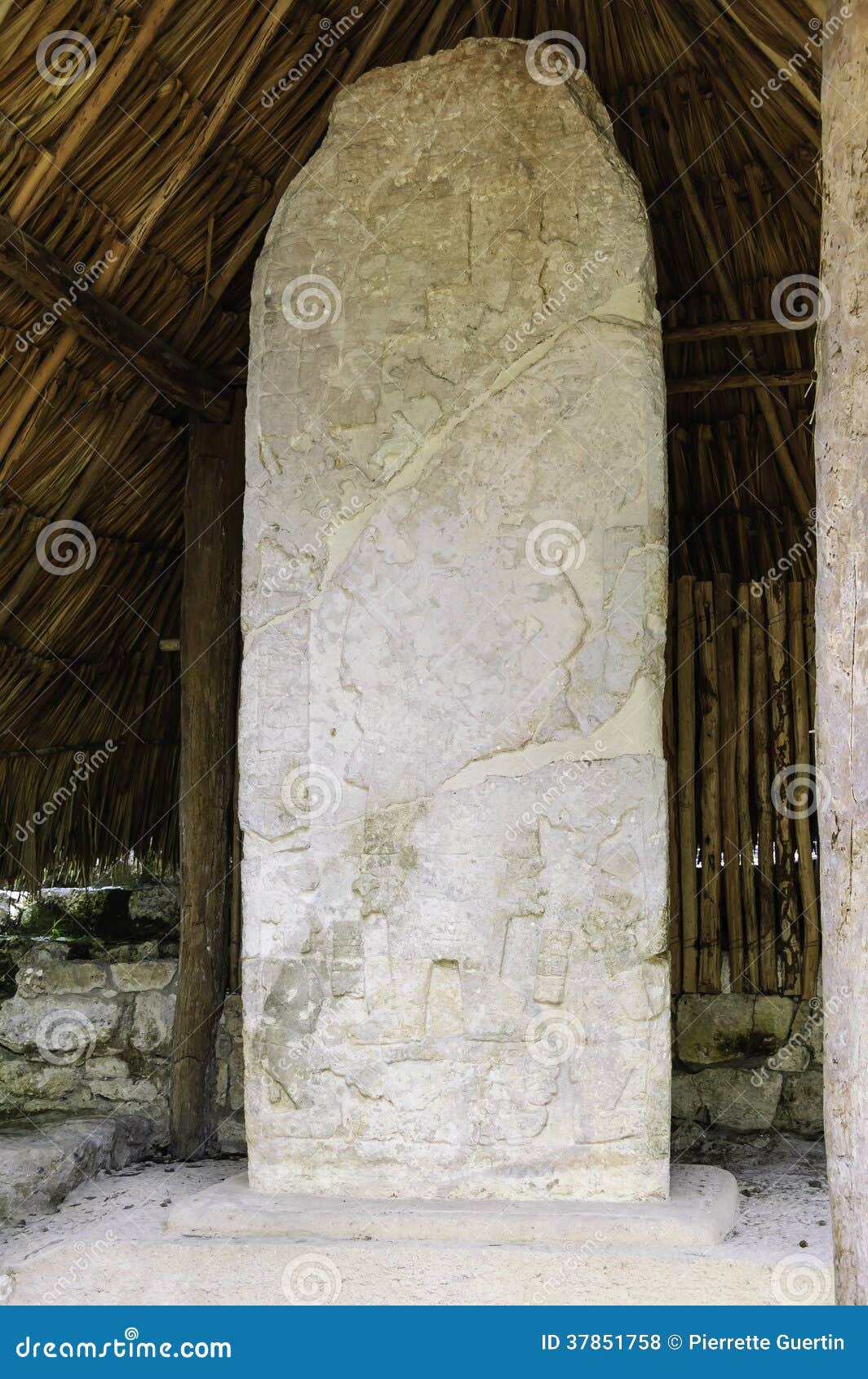 Mayan Glyphs on a Stone Stele Stock Photo - Image of heritage, drawings ...