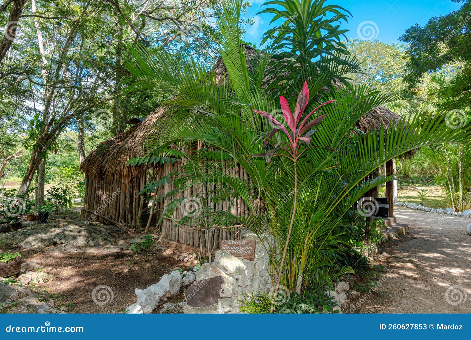 Mayan Hut in Yucatan, Mexico Stock Image - Image of mexico, travel ...