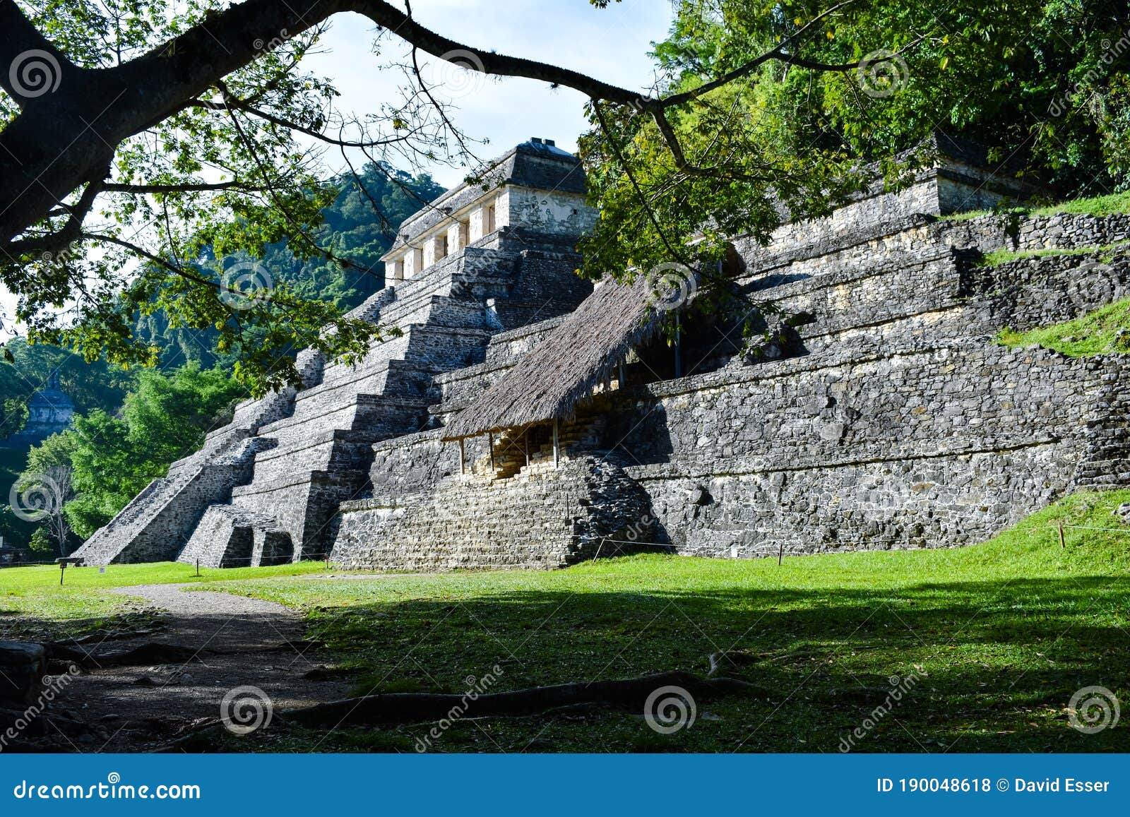 The Mayan Pyramid of Palenque in the Middle of the Jungle Stock Photo ...