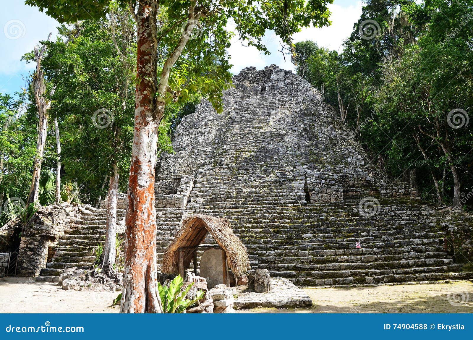 Coba, Mexico, Yucatan: Archaeological Complex, Ruins And Pyramids In ...