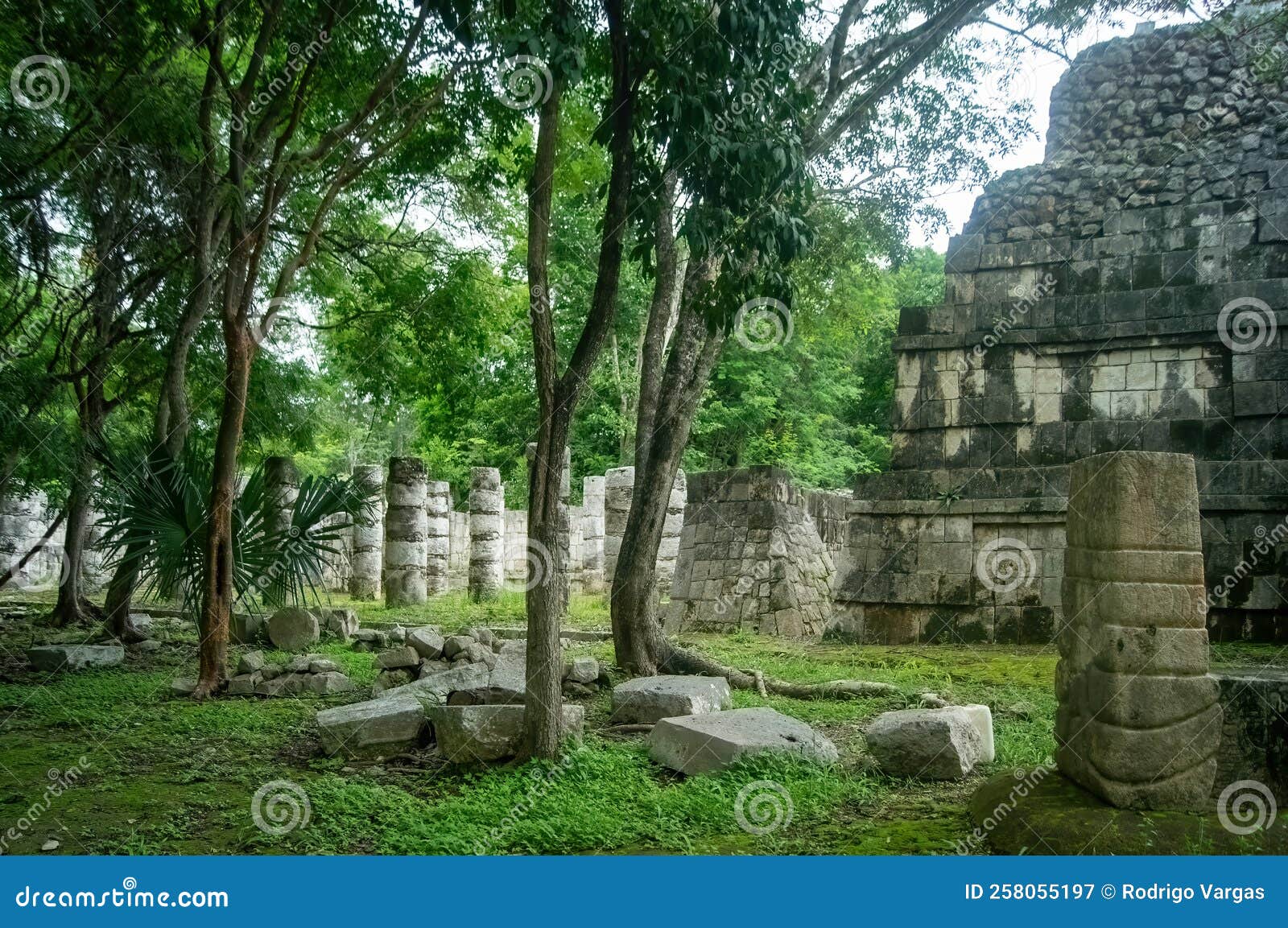 Mayan Pyramids in Mexico, Stone Construction, Surrounded by Vegetation ...