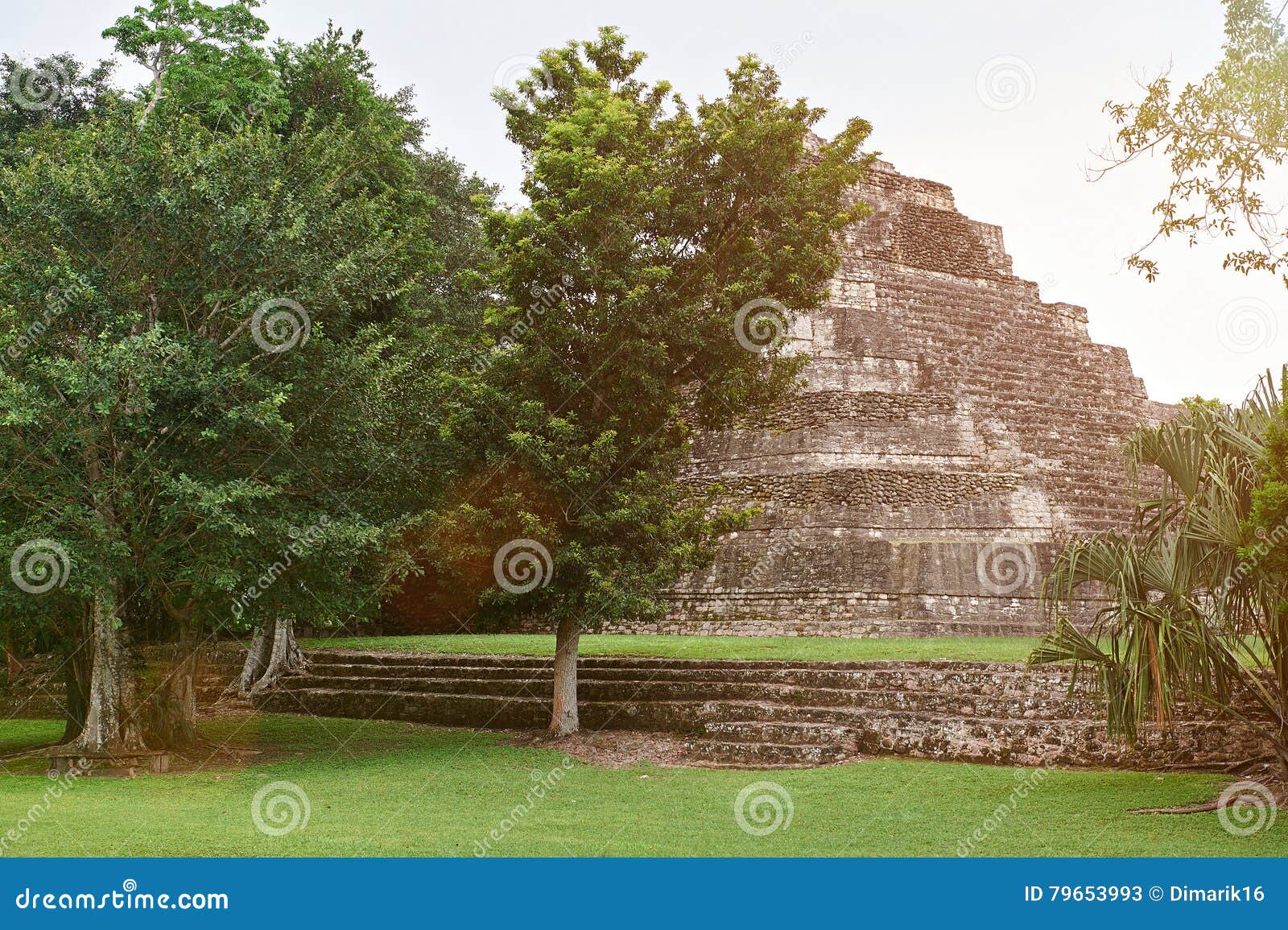 Mayan ruin pyramid stock image. Image of jungle, ancient - 79653993