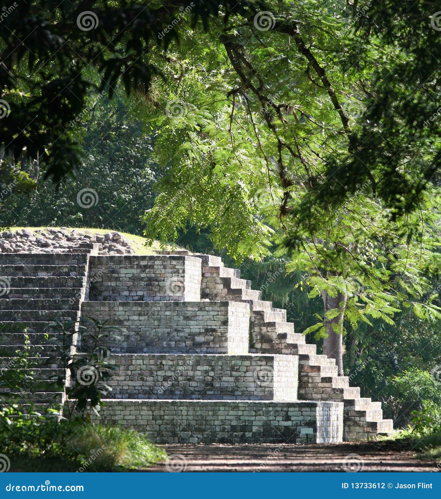Mayan Ruins, Copan, Honduras Stock Photo - Image of maya, opening: 13733612