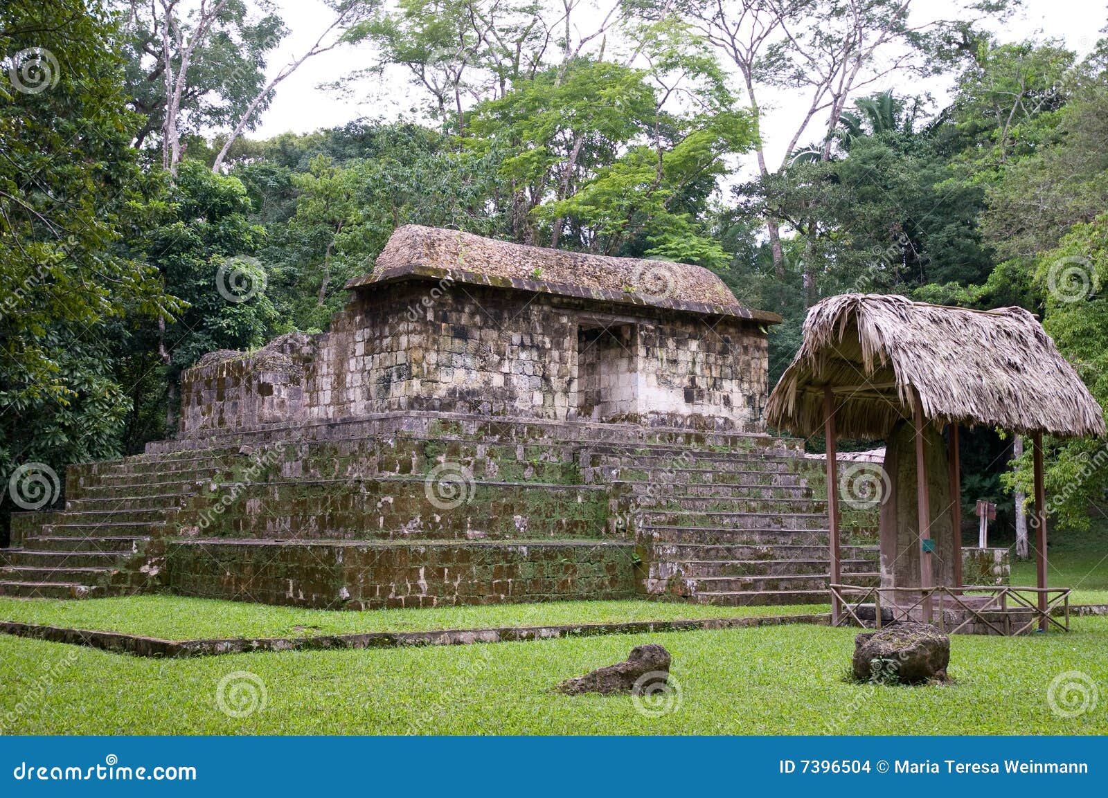 Mayan ruins of el ceibal stock photo. Image of exotic - 7396504