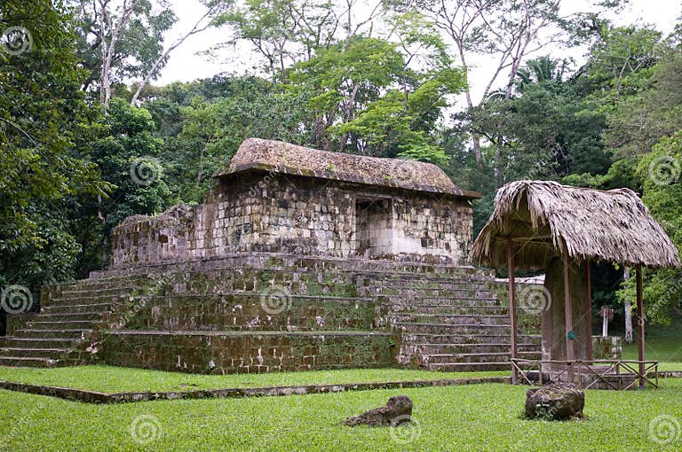 Mayan ruins of el ceibal stock photo. Image of exotic - 7396504